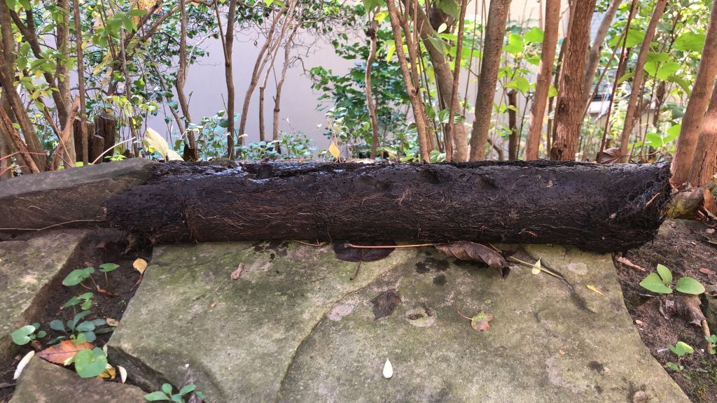 Drain Camera Inspection Service in Toronto - Sewer Camera Inspection